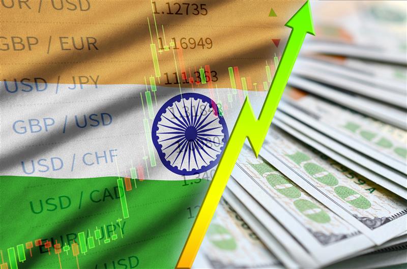 FII & DII Activity in 2025 : Sector Insights & Investment Signals